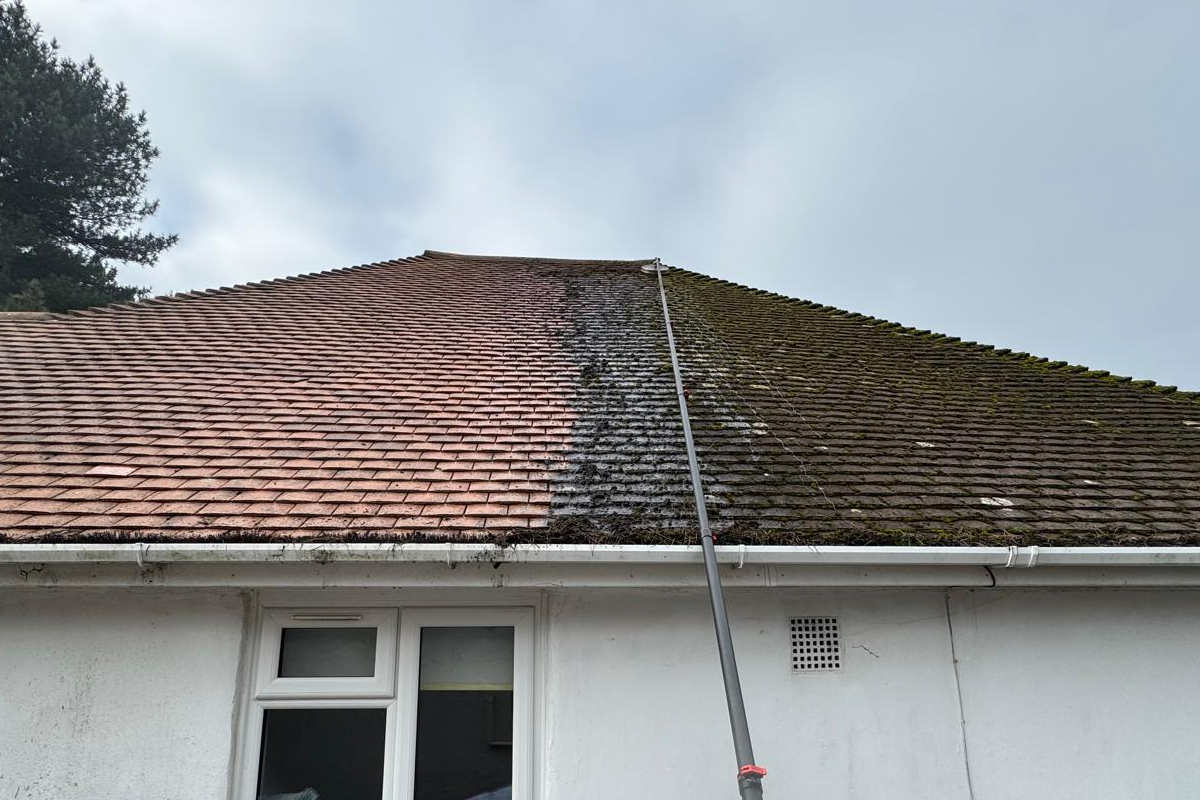 Services - Vidder Site Solutions